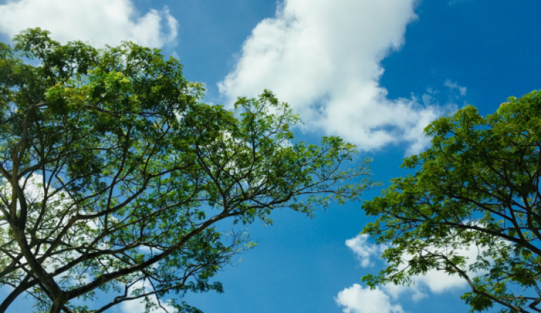 Is geothermie de beste keuze voor een natuurinclusieve warmtetransitie ...